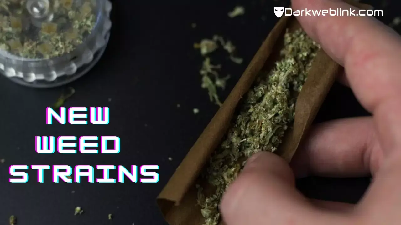 New Weed Strains: Best Cannabis Variants | Marijuana Strains