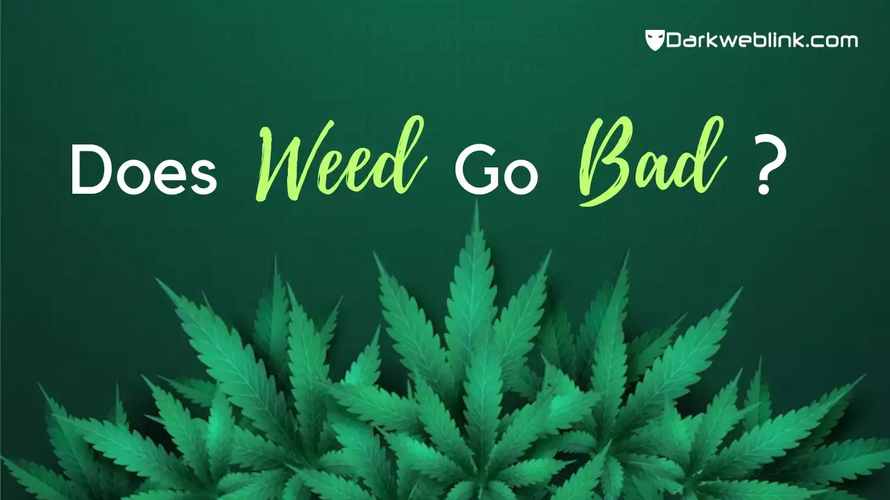 Weed Potency Explained: Shelf Life, Freshness, and Expiration of Cannabis